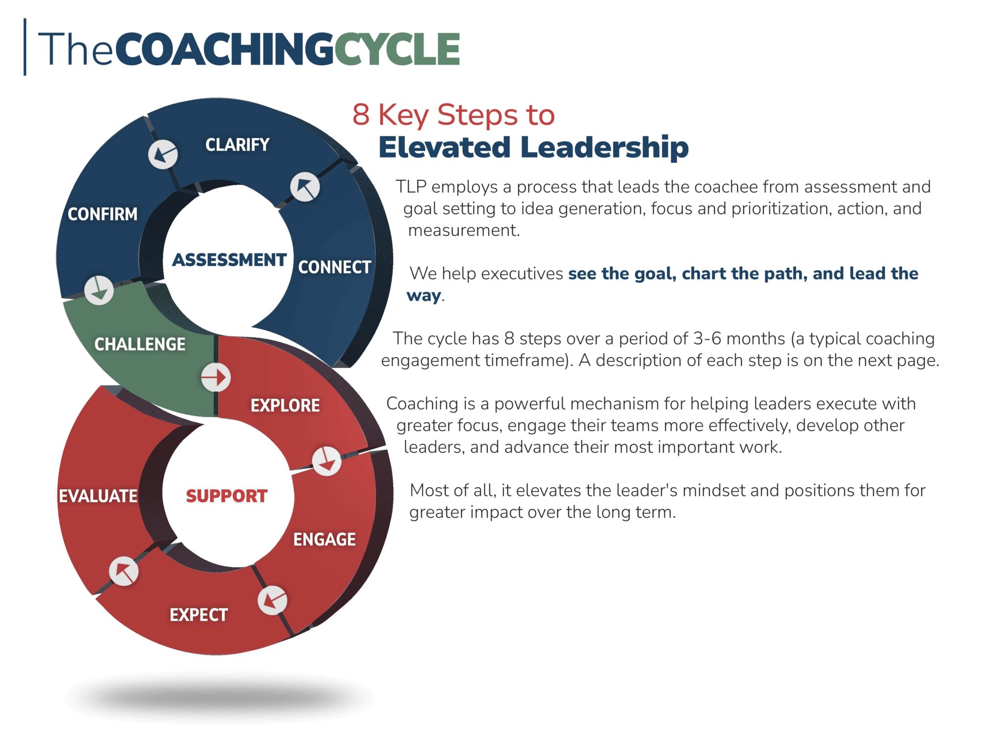 Executive Coaching Perspective - The Leader's Perspective